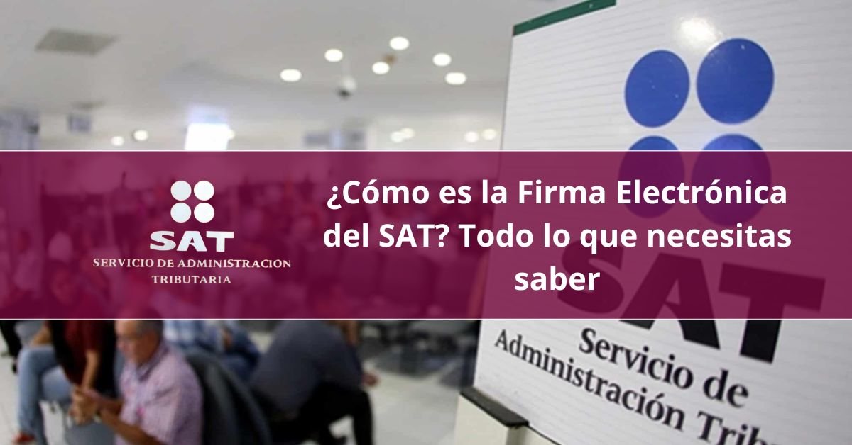 ¿Cómo es la Firma Electrónica del SAT? Todo lo que necesitas saber ...