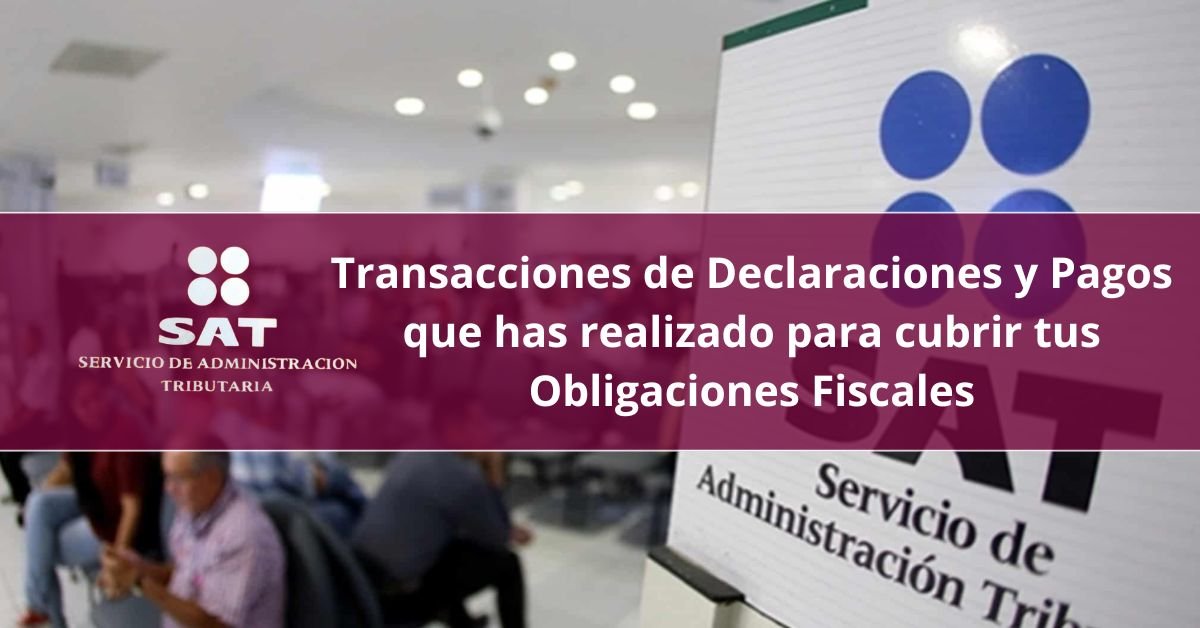 Transacciones de Declaraciones y Pagos que has realizado para cubrir ...